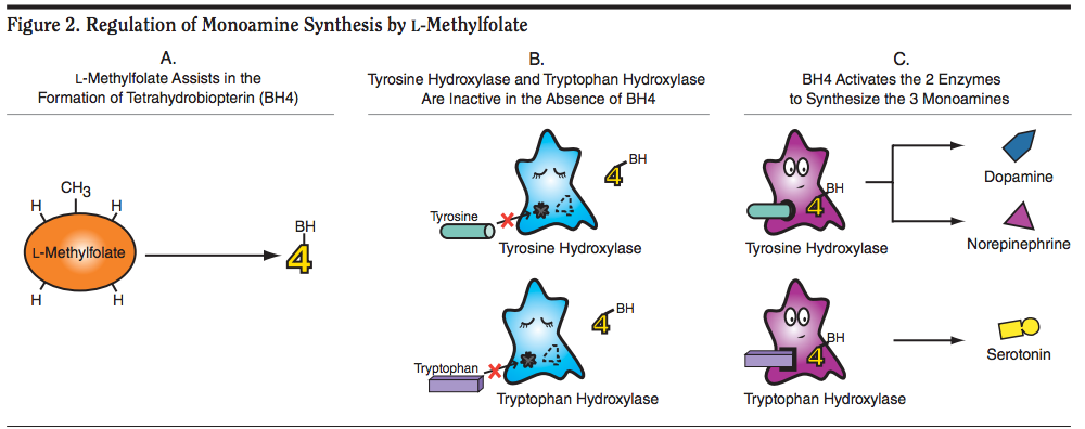L Methylfolate aka Deplin | Palestine WILL Be Free
