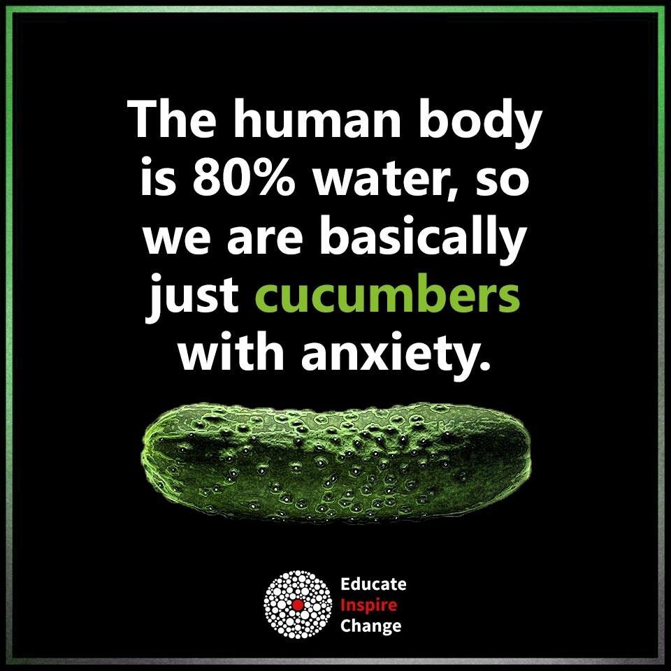 We’re cucumbers with anxiety? Hahaha | Palestine WILL Be Free