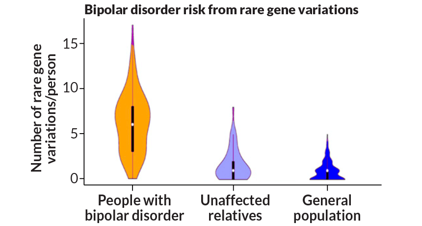 Bipolar risk boosted by accumulation of rare versions of genes ...