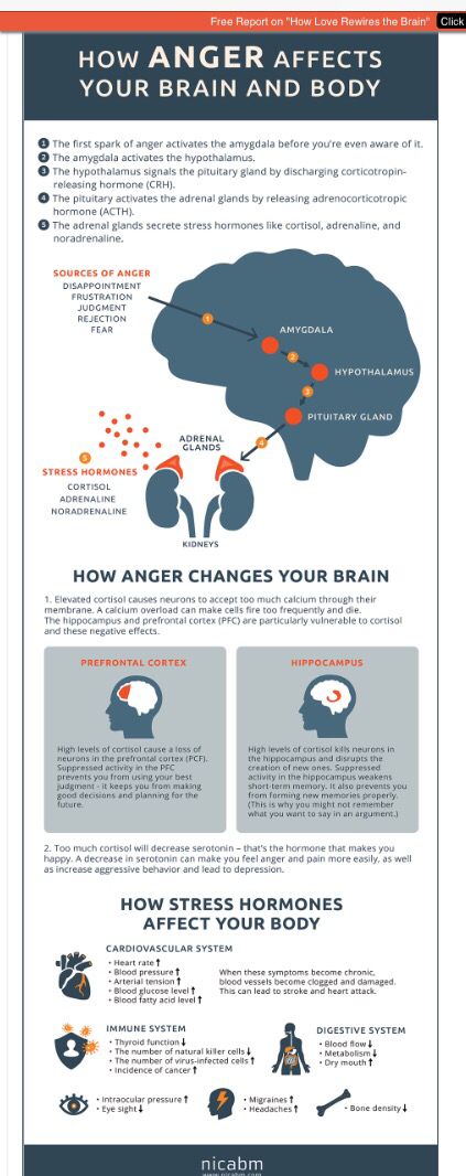 How Anger Affects the Brain and Body | Palestine WILL Be Free